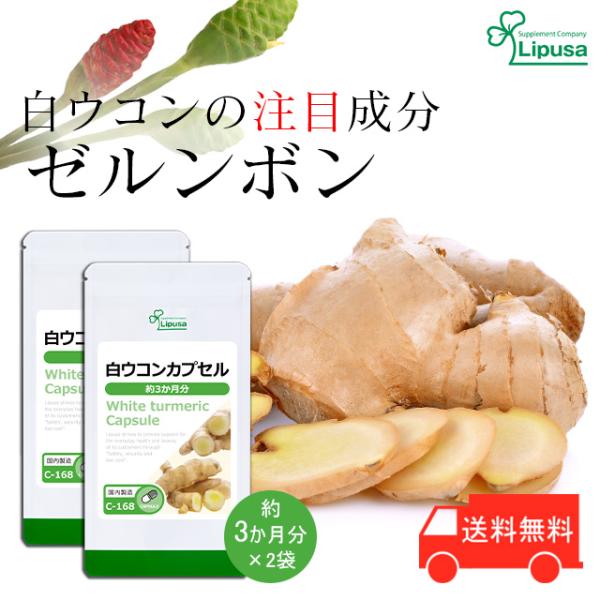 白ウコンは熱帯アジア原産のショウガ科の植物で、別名「ハナショウガ」とも呼ばれています。日本では主に沖縄諸島で栽培されており、沖縄ではムザヌウッチンと呼ばれています。白ウコンには普通のウコンに多く含まれる「クルクミン」はほとんど入っていません...