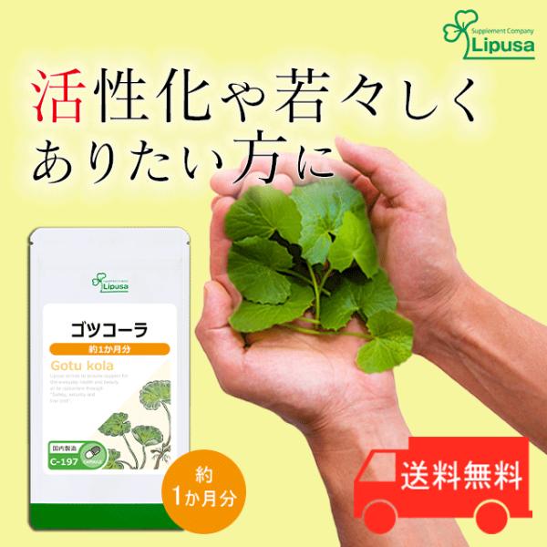 ゴツコーラは別名ツボクサとも呼ばれる、セリ科の植物です。古くからインドや東南アジア、アフリカなどで広くハーブとして利用されてきました。主な栄養素としてマデカッソ酸、トリテルペン、アジアチコシドなどがあげられます。また、カルシウムやナイアシン...