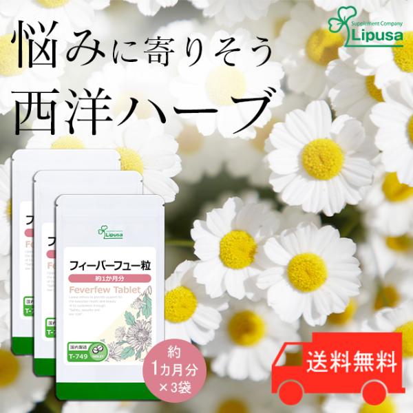 フィーバーフュー(夏白菊/ナツシロギク)の葉に含まれる「パルテノライド」が今注目されています！フィーバーフューは西アジア・バルカン半島原産のキク科多年草(ハーブ)で、ヨーロッパ全域・北アメリカ・オーストラリアに広く見られます。欧米では古くか...