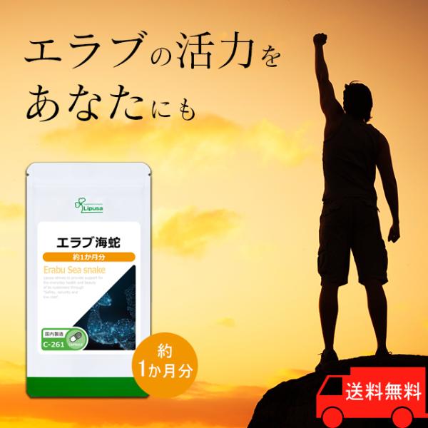 エラブ海蛇は沖縄近海をはじめ熱帯、亜熱帯に生息するコブラ科の海蛇です。頭は小さくて丸みをおび、上あごに一対の毒牙があります。沖縄では「イラブー料理」として、古くから燻製や煮たり焼いたりした物を健康食にしてきました。現在でも栄養補給のために珍...