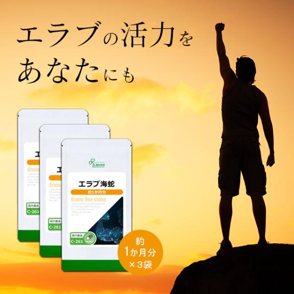 エラブ海蛇は沖縄近海をはじめ熱帯、亜熱帯に生息するコブラ科の海蛇です。頭は小さくて丸みをおび、上あごに一対の毒牙があります。沖縄では「イラブー料理」として、古くから燻製や煮たり焼いたりした物を健康食にしてきました。現在でも栄養補給のために珍...