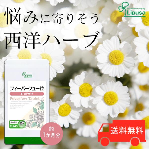 フィーバーフュー(夏白菊/ナツシロギク)の葉に含まれる「パルテノライド」が今注目されています！フィーバーフューは西アジア・バルカン半島原産のキク科多年草(ハーブ)で、ヨーロッパ全域・北アメリカ・オーストラリアに広く見られます。欧米では古くか...