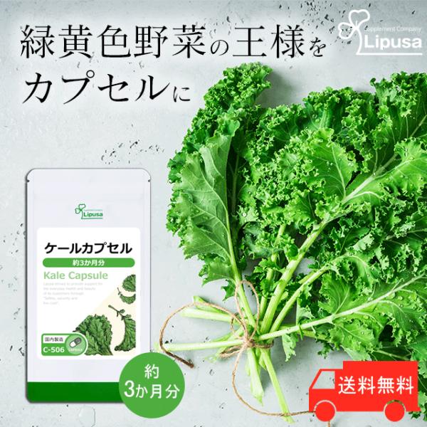 カルシウムやビタミンが豊富なケール！ケールは地中海地方原産のアブラナ科の野菜で、キャベツの原種と言われています。ビタミン、ミネラル、食物繊維、なかでもビタミンAやビタミンCが豊富に含まれています。▼こんな方におすすめ・野菜不足を感じている方...