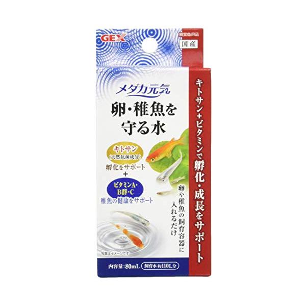 無し/M/50547・パッケージ個数:1・本体サイズ (幅X奥行X高さ) :5.8×3×12.5cm・本体重量:0.08kg・原産国:日本