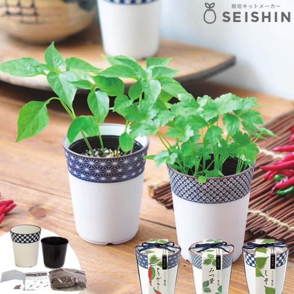 品名聖新陶芸 染付小紋薬味 小鉢 GD758商品詳細料理に少し添えるだけで、香りも見た目もぐっと引き締めてくれる薬味を育てられる栽培セット。インテリア感覚でお家で育てれば、いつでも新鮮な薬味が収穫できます。栽培用の鉢は、染付小紋のお洒落なデ...