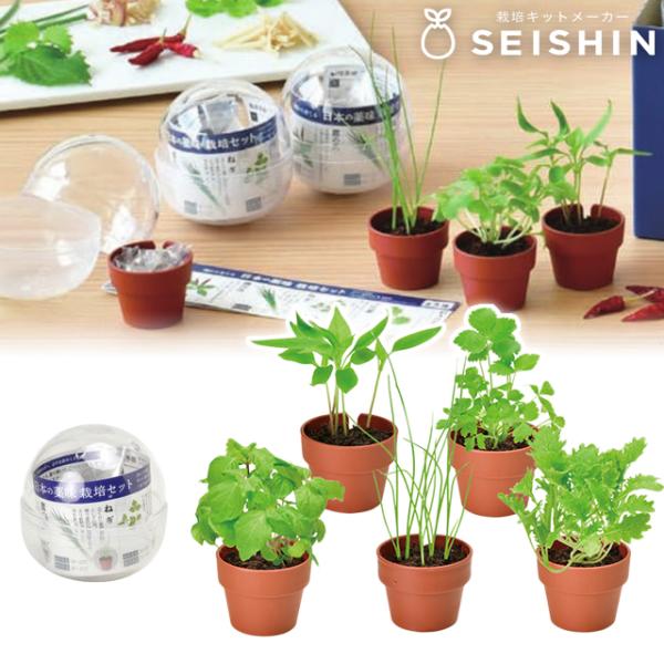 品名聖新陶芸 育てるカプセル 薬味商品詳細薬味を育てる栽培セット。栽培に必要なものをカプセルに詰め込んだ、ミニチュアサイズの薬味栽培キットです。料理にそえると豊かな香りが広がる薬味を、カプセルで簡単・手軽に育てることができます。ギフトにはも...