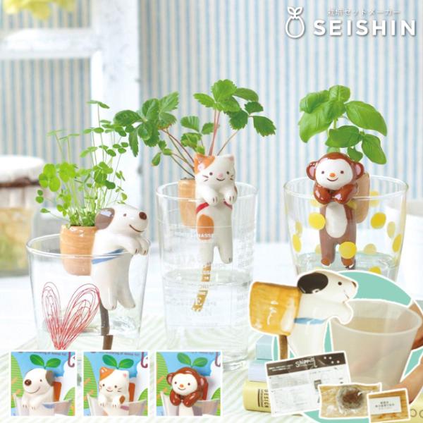 品名聖新陶芸 しっぽん GD-660商品詳細器・土・種、すべてが揃った栽培キット！園芸をしたことがない…という方でも安心して育てることができます。おうちの中で気軽に植物が育つ喜びをお楽しみください♪こちらの商品は…しっぽから水を吸い上げる、...