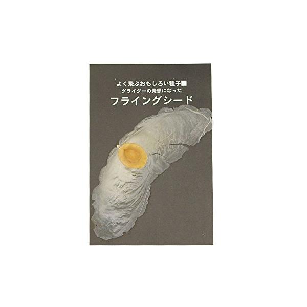 学名：アルソミトラ Alsomitra macrocarpa 原産地：主としてインドネシア大きさ：約130*60mm 参考サイズ 重さ：約0.2ｇDIY・工具・ガーデン:ガーデン:種・苗:種:花