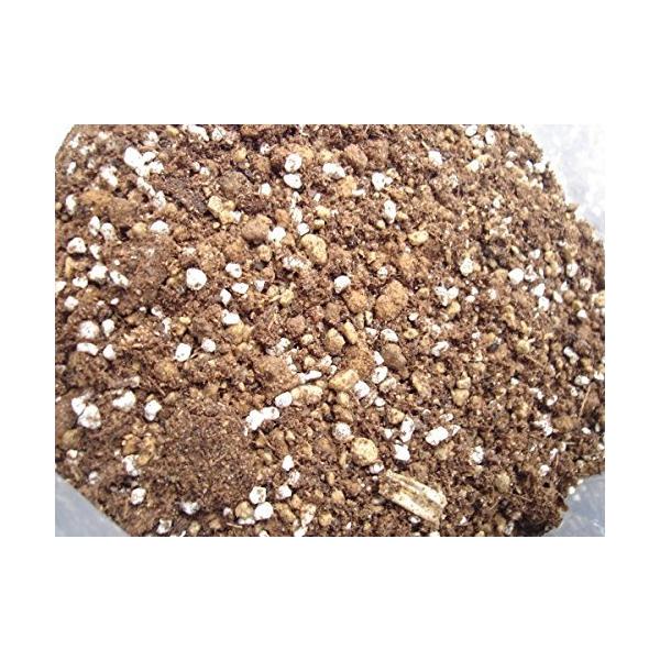 多肉植物の苗の生産者さんが実際に作っている培養土です。製造国 日本DIY・工具・ガーデン:ガーデン:用土