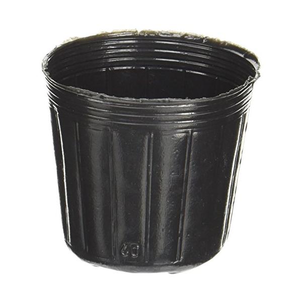 特徴 : 種まき用ポリポットを10個ずつセット。DIY・工具・ガーデン:ガーデン:農業・園芸用資材:苗箱