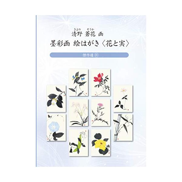 紙ケースに10絵柄・各１枚入り文房具・オフィス用品:ノート・メモ帳:カード・カードストック:ポストカード・絵柄付はがき