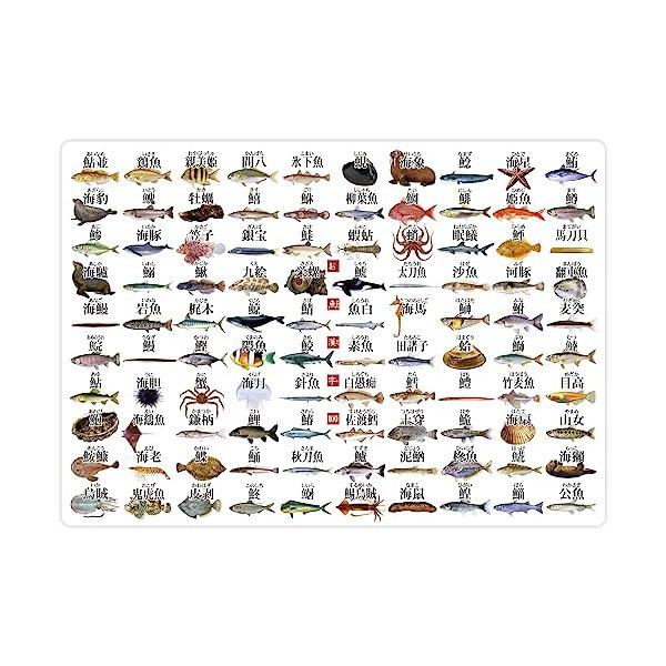 サイズ(約):H210*W297mm生産国:日本文房具・オフィス用品/学習用品/下敷き