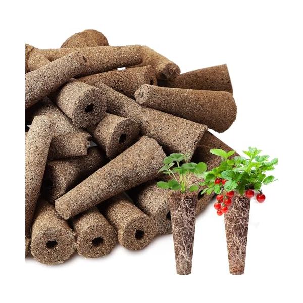 水耕栽培 スポンジ 30個入 植物育成無土壌栽培 水耕栽培キットすいこう栽培 水耕スポンジ 苗床 室内 ガーデン 植物育成DIY・工具・ガーデン/ガーデン/農業・園芸用資材/苗箱