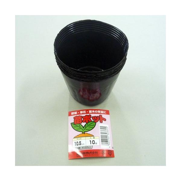 特徴 : 種まき用ポリポットを10個ずつセット。DIY・工具・ガーデン/ガーデン/農業・園芸用資材/苗箱