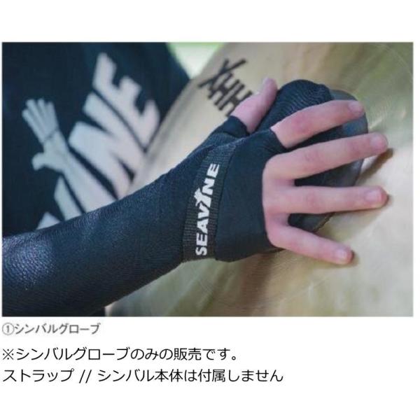 SEAVINEシーバインはシンバルに特化したメーカーです。現役のマーチングシンバル指導者目線で考えられた様々な製品は国内外で多くの評価を得ており、アメリカDCIやWGIでも数多くの団体がシーバイン商品を使用しています。SEAVINE シンバ...