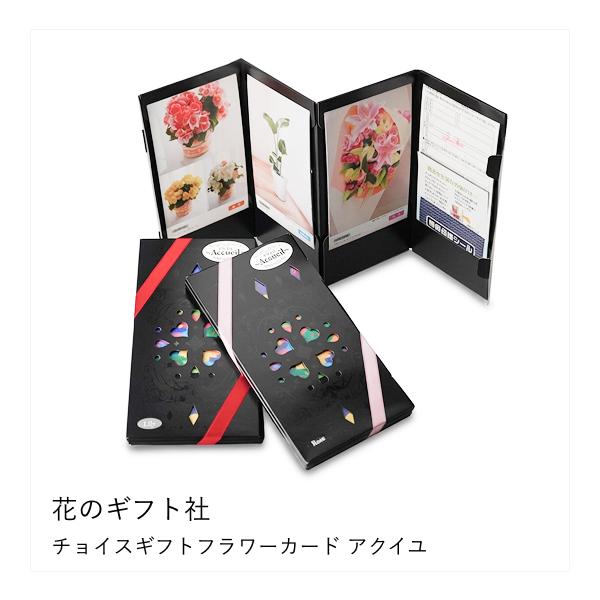 ＜商品詳細＞ブランド:花のギフト社＜配送・ギフト＞ネコポス可ラッピング / ギフトカード / 熨斗