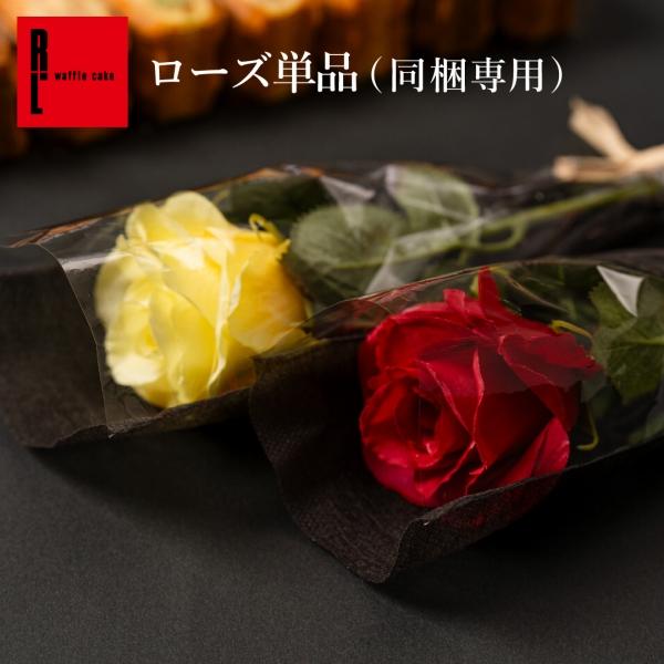 【発売日：2025年09月20日】●注意事項：※こちらの商品は同梱専用となっております。　商品単品でのご購入はキャンセルになります。　R.L店内のお好みの商品とご一緒に、オプションとしてご購入ください。※数量限定商品のため、在庫がなくなり次...