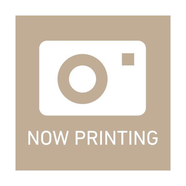 ━━━━━━━━━━━━━━━━━━━━━━━━━━━■部品対応機種■●スバル【SUBARU】／ロビン【Robin】[4サイクルエンジン]・EX13／EX17〇#560　20A-35902-03　ガスケット1（インシュレーター）〇#550　...