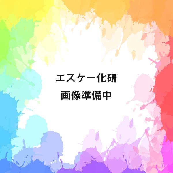 【商品概要】メーカー：エスケー化研用途：新設のALCパネル面の目止め及び粗面下地の平滑化などの下地調整　新設のコンクリート、セメントモルタルの多孔質壁面の目止めやノロ引きを必要とする場合の下地調整種類：セメント、合成樹脂エマルション　Ｆ☆☆...