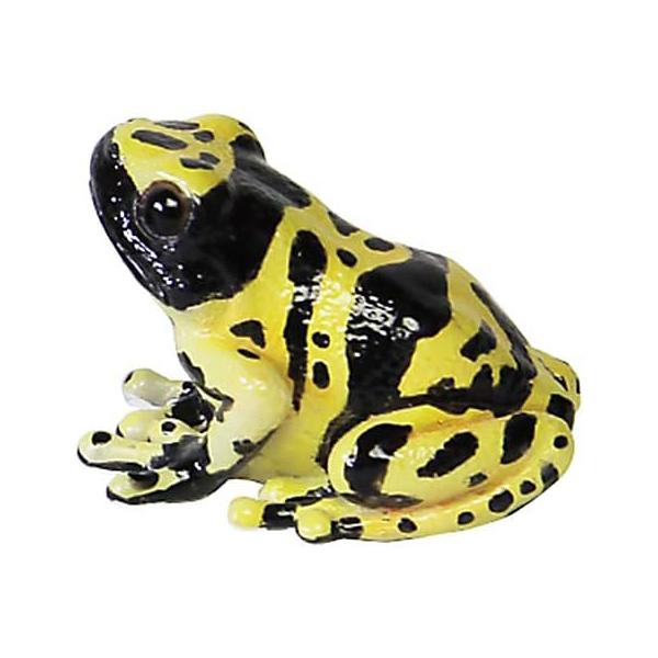 キオビヤドクガエルのリアルな生きもの造形マグネット。背中にマグネットが装備されたカエルのオブジェです。デスクに散らばるクリップも、この子を置いておけばお片づけもスムーズにサイズ：W40 x H30 x D25 mm重量：15g素材：ポリレジ...