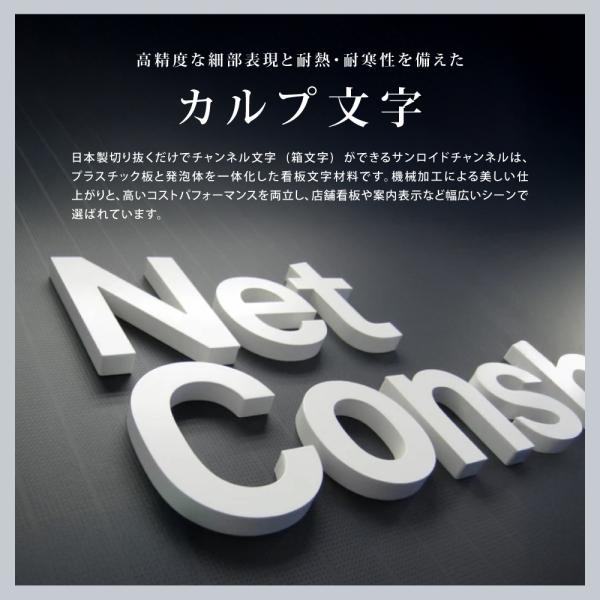 -商品詳細-【サイズ】約縦10cm〜45cm×厚さ：3cm【素材】カルプ文字【ご注意】ご注文の際は、購入数（文字数）、文字色、書体をご確認の上、適切な項目を選択して下さい。