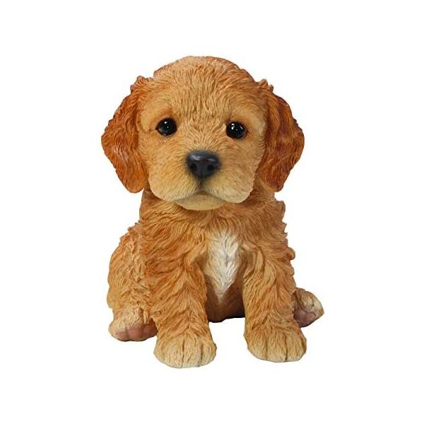 【座っているコッカープーの子犬 彫像 装飾インテリア 愛玩犬置物 アメリカン・コッカー・スパニエルプードル ドッグカフェ ペットショップ プレゼント 贈り物(輸入品)】-----------------------【Hi-Line Gift...