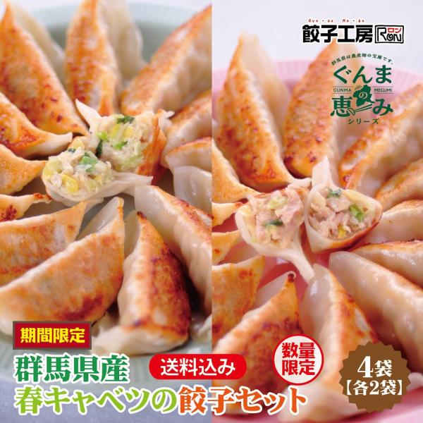 期間限定・数量限定セットぐんまの恵み シリーズ  群馬県の食材を中心に使用  [ 群馬県産 豚肉 春キャベツ キャベツ にら しょうが にんにく 小麦粉 使用 ] [ 化学調味料 不使用 ]今が旬！内山農園の群馬県産春キャベツを使用した餃子...