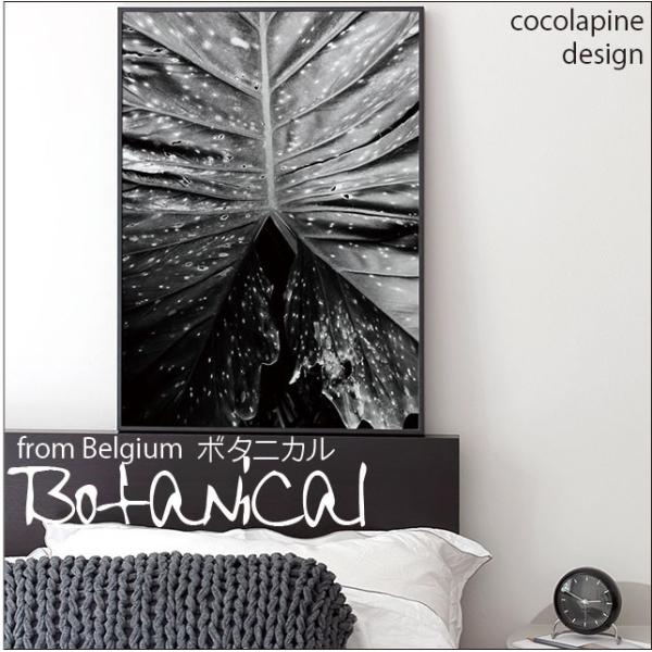 【春クーポン発行中】【全国無料※ゆうメール】【ココラパンデザイン】 botanical no2 ボタニカル 植物 アート 景色 モダン シンプル カフェ ドイツ ベルギー フレーム　design Coco lapine  Design モノ...