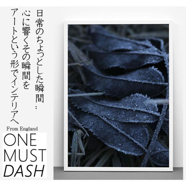 【全国無料※ゆうメール】【ONE MUST DASH】ワンマストダッシュ  イギリス　frost 葉　リーフ モダン シンプル カフェ モノクロ ポスター アートプリント 40x30cm　インテリア 北欧