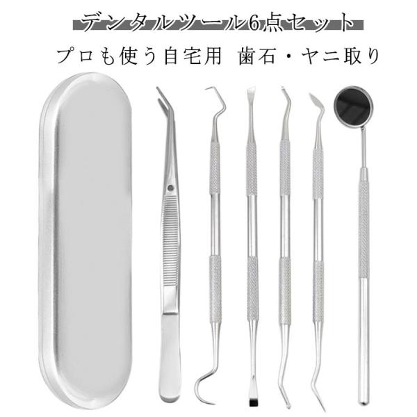 6点セット（歯用ミラー、鎌形ツールｘ3、鍬型ツール、ピンセット）