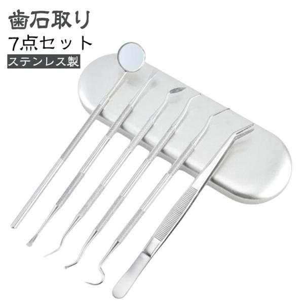 6点セット（歯用ミラー、鎌形ツールｘ3、鍬型ツール、ピンセット）