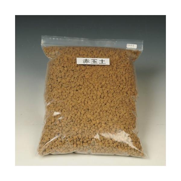 【商品概要】※湿気等により用土が濡れている場合がございますが品質上の問題はございませんので予めご了承ください。 　封を開けて乾かしてからご使用ください。※パッケージは予告なく変わる場合がございます。【商品説明】説明商品の説明赤玉土　二本線 ...