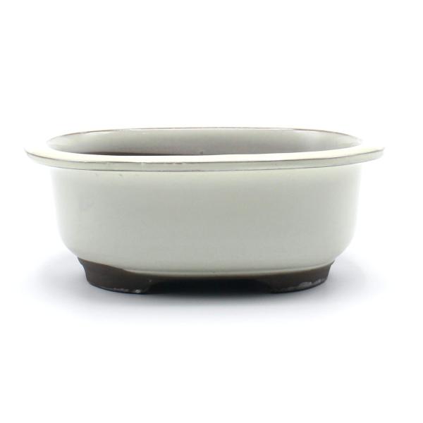 【商品概要】クリーム色で光沢のあるベーシックな鉢です。小品?中品盆栽には、非常に使い勝手の良い大きさです。釉薬の色はクリーム、上から見た縁の形は小判です。 　おおよそのサイズ(幅20.5×奥行17.5×高さ6.5センチ)入る土の量は1.2?...
