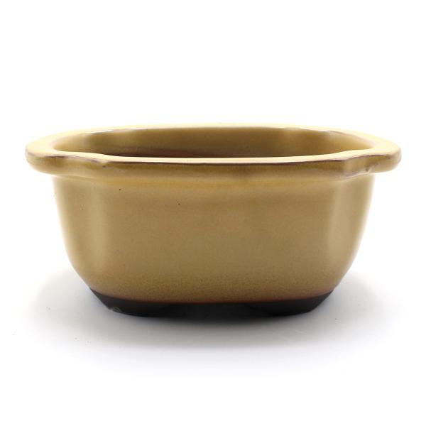 【商品概要】黄色のベーシックな鉢です。釉薬は黄釉、上から見た縁の形はモッコ（木瓜）おおよそのサイズ(幅20×奥行16×高さ8.5センチ)小品盆栽から貴風、中品盆栽に使い勝手の良い大きさです。入る土の量は1.5から2.0リットルほど【商品説明...