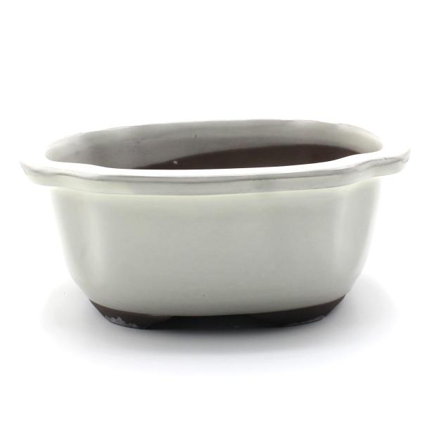 【商品概要】クリーム色のベーシックな鉢です。釉薬はクリーム釉、上から見た縁の形はモッコ（木瓜）おおよそのサイズ(幅20×奥行16×高さ8.5センチ)小品盆栽から貴風、中品盆栽に使い勝手の良い大きさです。入る土の量は1.5から2.0リットルほ...