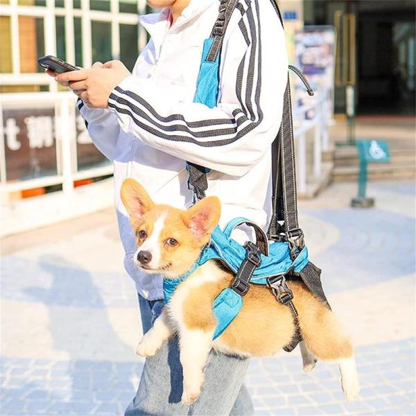 【発売日：2024年07月02日】【多機能猫抱っこ紐】両手を解放させたので、自転車、バイクの移動・アウトドア・散歩・旅行・お出かけに最適で、さまざまなシーンで活躍します！【犬抱っこ紐素材】丈夫なナイロンオックスフォード布と通気性の良いメッシ...