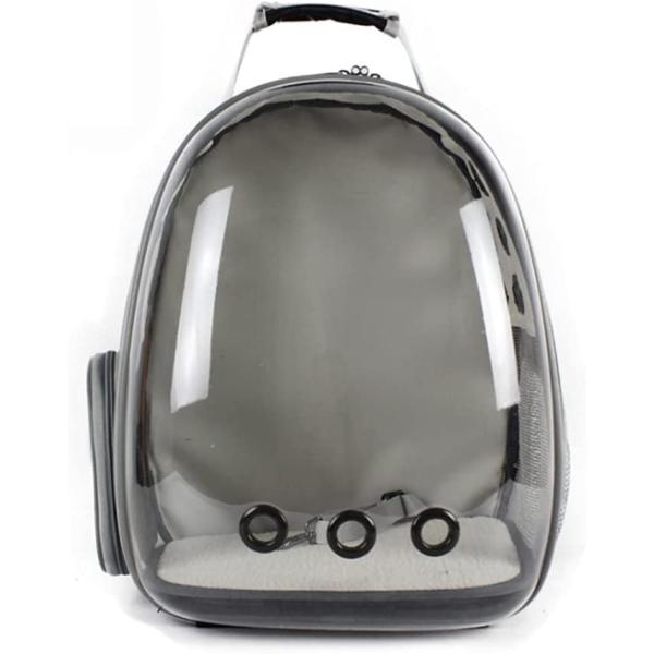 【発売日：2024年07月01日】-0