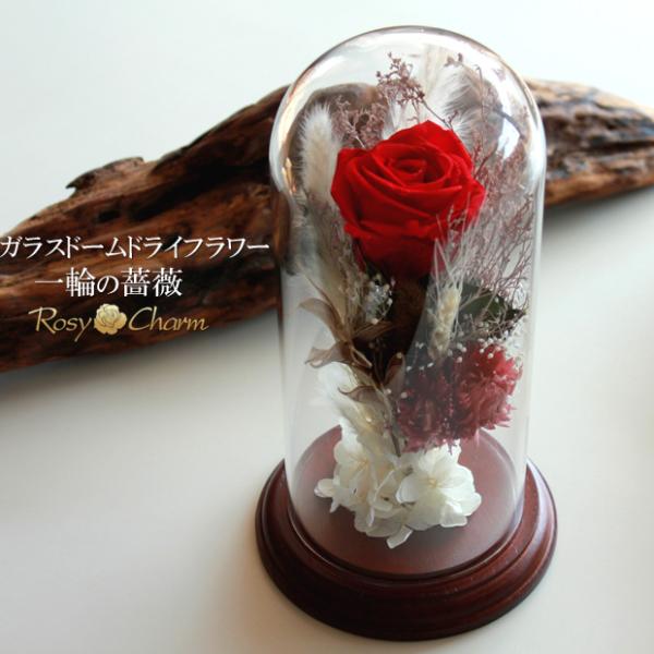 ガラスドーム  ドライフラワー  一輪のバラ プリザーブドフラワー。おしゃれな誕生日プレゼント・結婚記念日・プロポーズの贈り物に人気です。専用ギフトＢＯＸに入れてお届け致します。【商品内容】・ガラスドーム  ドライフラワー  一輪のバラ プ...