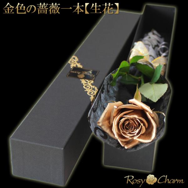 【生花】金色の薔薇一本｜一輪花束 専用ギフトBOX入りゴールドローズ｜誕生日プレゼント・結婚記念日・周年祝いに【商品内容】・1輪の金色のバラ（生花）（オリジナル高級ＢＯＸ入り）・切り花栄養剤・取り扱い説明書【ＢＯＸサイズ】・縦５３センチ×横...