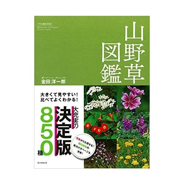 朝日園芸BOOKS  大きくて見やすい！　比べてよくわかる！    山野草図鑑    金田 洋一郎 文・写真     ISBN：9784023333185  定価：2200円（税込）  発売日：2020年3月30日