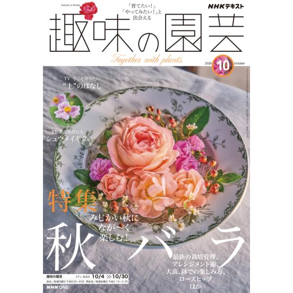 ＮＨＫ    趣味の園芸　2026年10月号  テレビ    発売日　2026年09月18日 発行：月刊    商品紹介  園芸の基本と魅力を、深くたっぷりと  大きく魅力的なビジュアルで育てる楽しさを、あなたのそばに