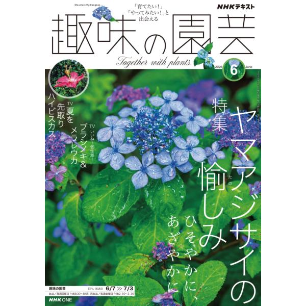 趣味の園芸　2026年6月号  テレビ    発売日　2026年05月21日 発行：月刊    商品紹介  園芸の基本と魅力を、深くたっぷりと  大きく魅力的なビジュアルで育てる楽しさを、あなたのそばに  