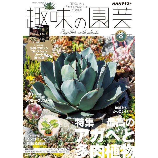 趣味の園芸　2026年8月号 テレビ  発売日　2026年07月21日 発行：月刊  商品紹介 園芸の基本と魅力を、深くたっぷりと 大きく魅力的なビジュアルで育てる楽しさを、あなたのそばに