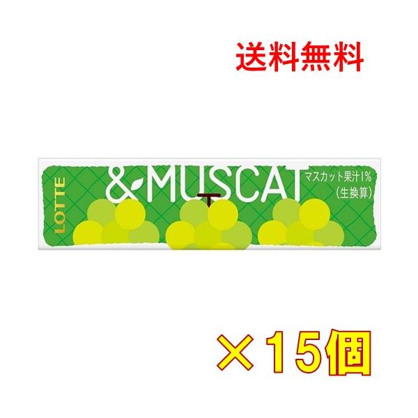 ※メール便での発送となります。メーカー名：ロッテ内容量 ：9枚