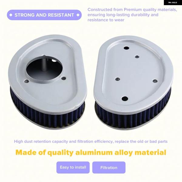 DANA LOWAY FAT MASTER PARAGLIDING 2008-2015 バイク アクセサリー エア フィルター エア フィルター カスタム パーツ アクセサリーHign-concerned Chemical:NoneOrig...