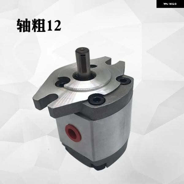 ギア ポンプ 油圧 オイル ポンプ HGP-1A-F1R HGP-1A-F2R HGP-1A-F3R HGP-1A-F4R HGP-1A-F5R HGP-1A-F6R HGP-1A-F8R カスタム パーツ アクセサリーHigh-conce...