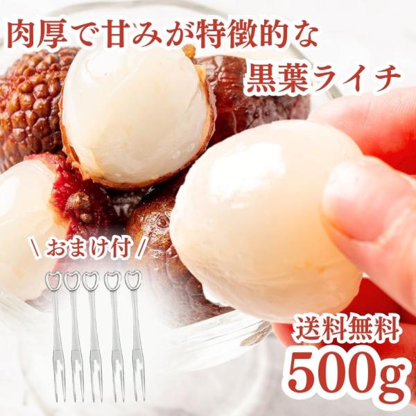 今回はおまけ付！フルーツフォーク5本もセットでお届けします♪肉厚で甘みが特徴的な黒葉ライチは厳選した原料を鮮度が損なわないよう急速冷凍しました。ライチの味は香りと同様、フルーティーでみずみずしさがあります。ぷりっとした食感と果汁がジューシー...