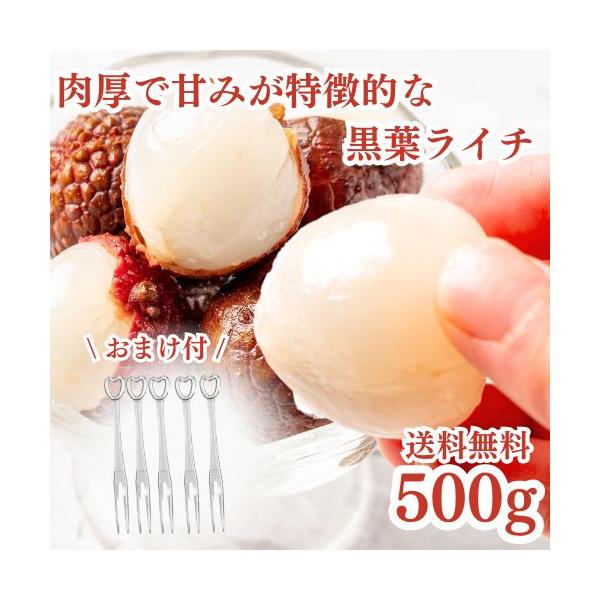 肉厚で甘みが特徴的な黒葉ライチは厳選した原料を鮮度が損なわないよう急速冷凍しました。今回はおまけ付！フルーツフォーク5本もセットでお届けします♪肉厚で甘みが特徴的な黒葉ライチは厳選した原料を鮮度が損なわないよう急速冷凍しました。ライチの味は...