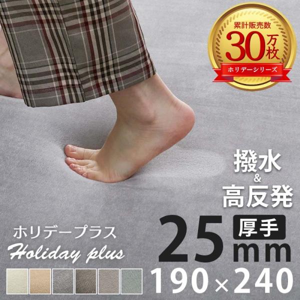 品名 『ホリデープラス 高反発』素材　表地：ポリエステル100％　　　中材：高反発ウレタン（25D）　　　裏地：不織布（滑り止め加工）目付量 180g/m2生産国 中国梱包 圧縮梱包注意※開梱時に匂いがする場合は、風通しの良いところで陰干し...