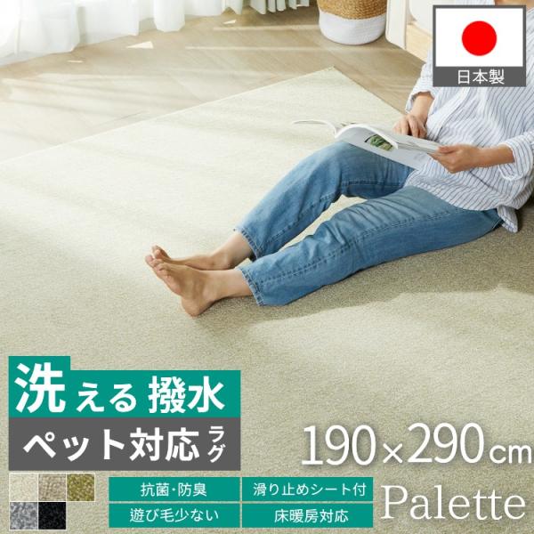 品名 パレット2素材 ポリプロピレンパイル長 約6mm目付 580g/m2裏面 不織布機能 洗濯機OK・はっ水・防汚・抗菌防臭・防ダニ・遊び毛防止・床暖対応生産国 日本梱包 折り畳み注意 ※ご覧のモニターの環境、撮影環境により実物と色味が異...